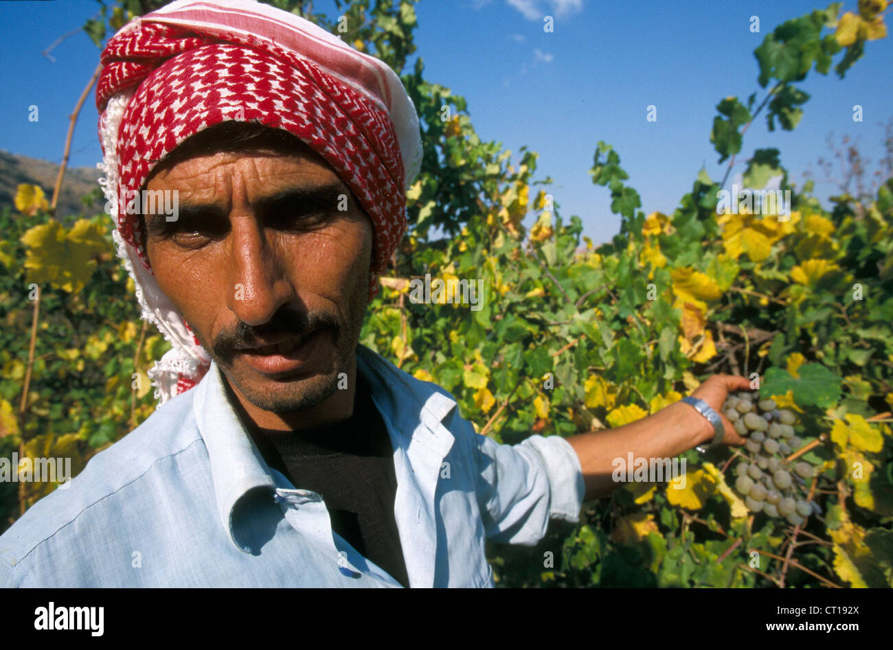 Lebanese farmers hi-res stock photography and images - Alamy
