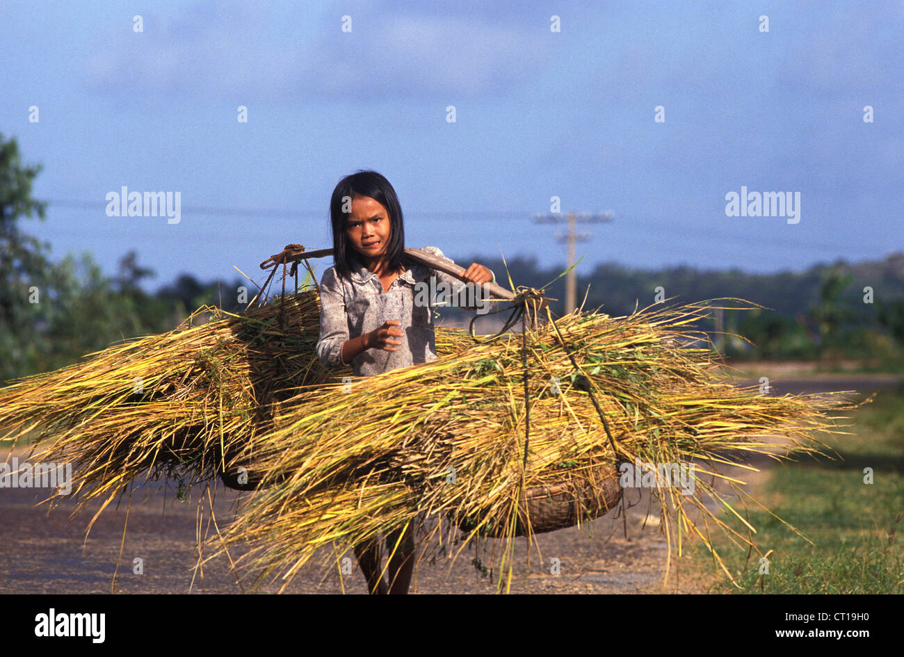 Female farming labor hi-res stock photography and images - Alamy