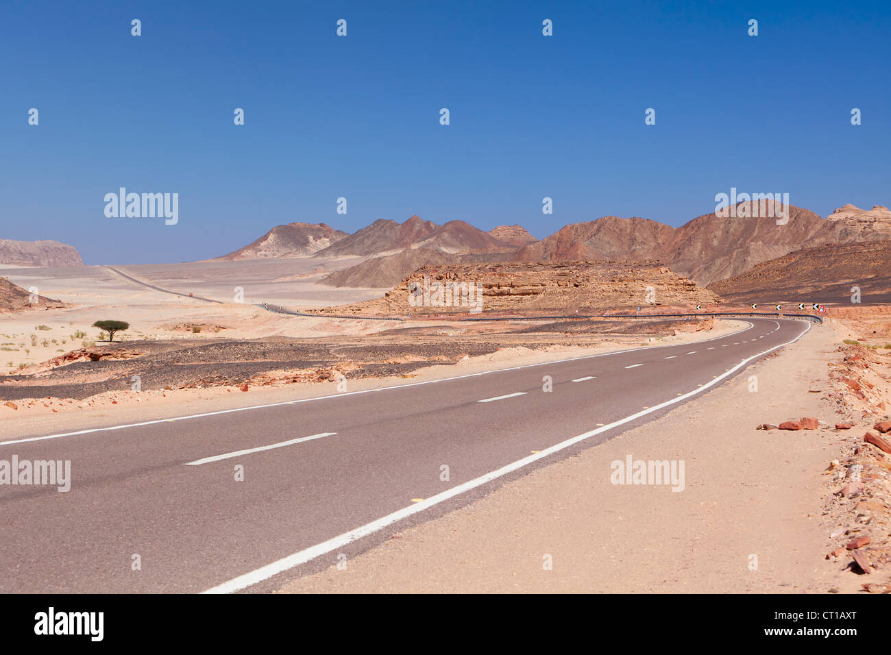 Sinai desert hi-res stock photography and images - Alamy