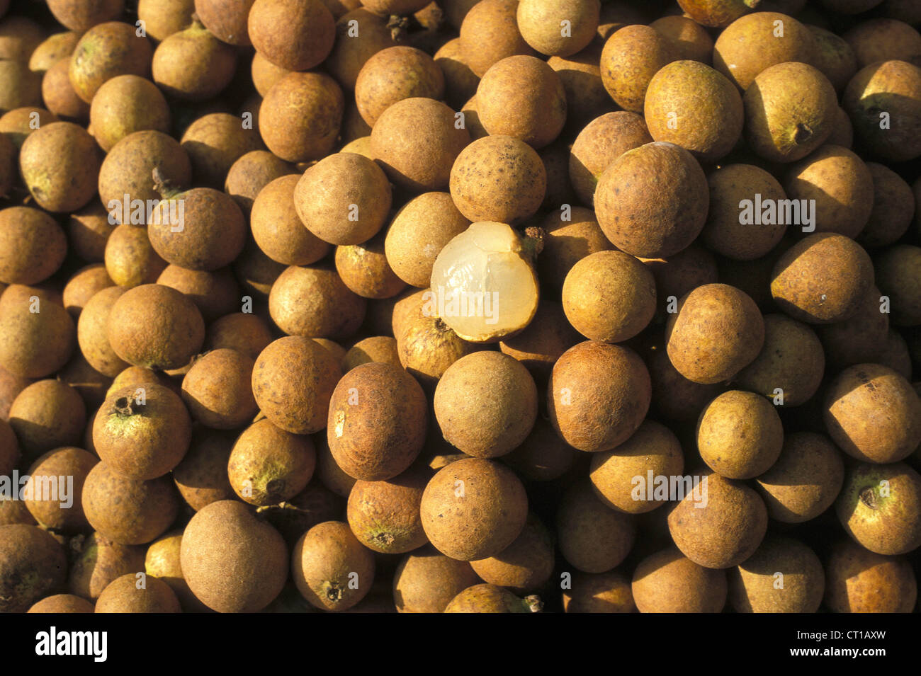 Longan feed hi-res stock photography and images - Alamy