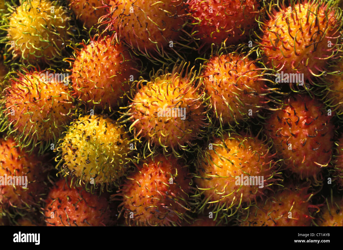 Ramboutan hi-res stock photography and images - Alamy