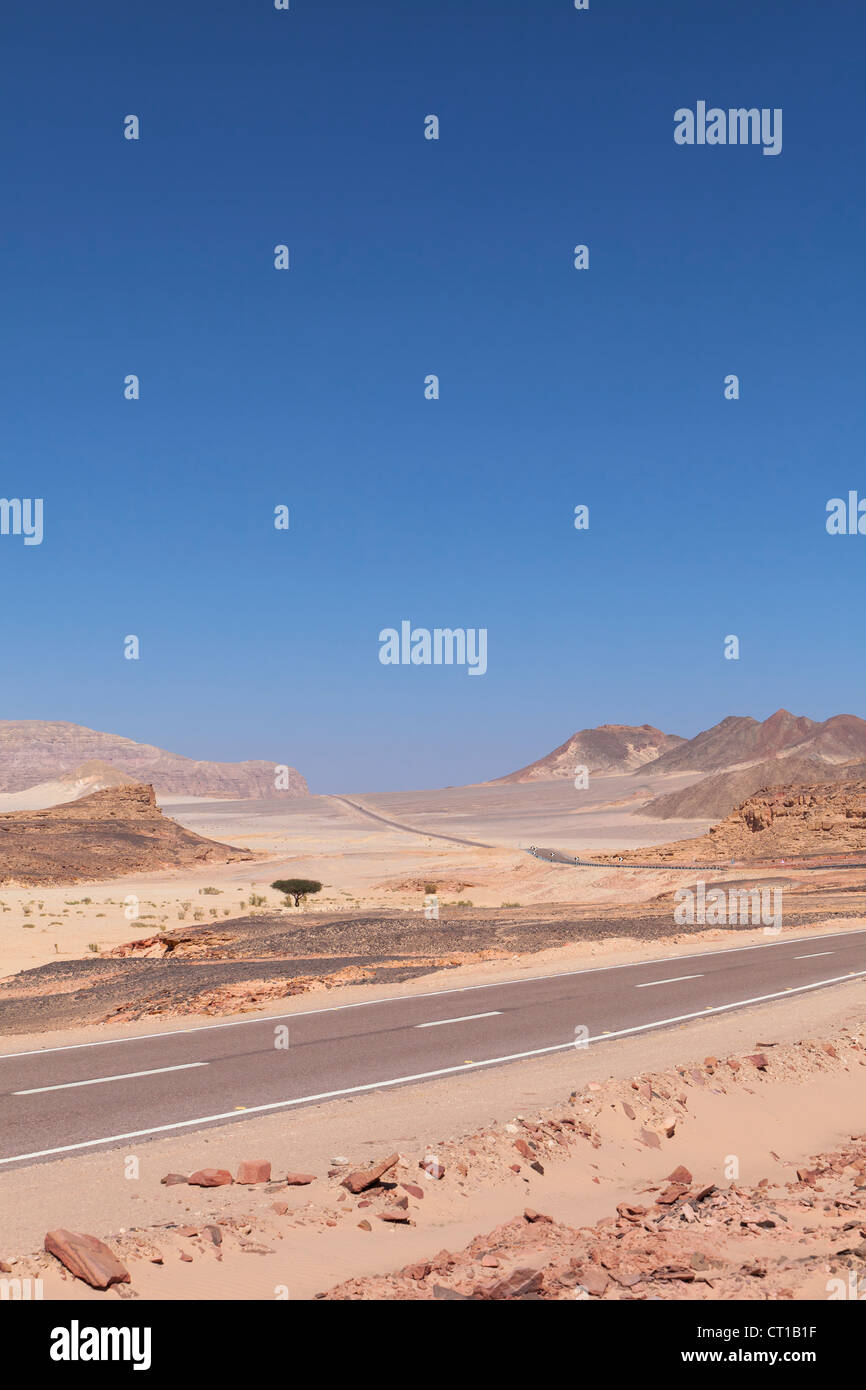 Road in desert egypt hi-res stock photography and images - Alamy