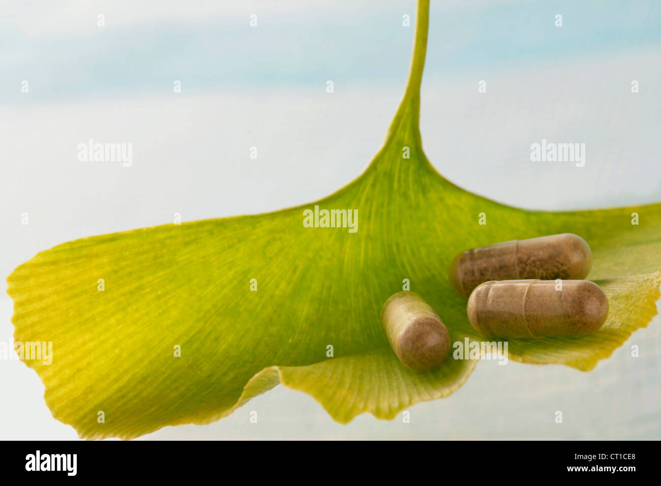 Ginkgo biloba herbal drug capsules hi-res stock photography and images ...