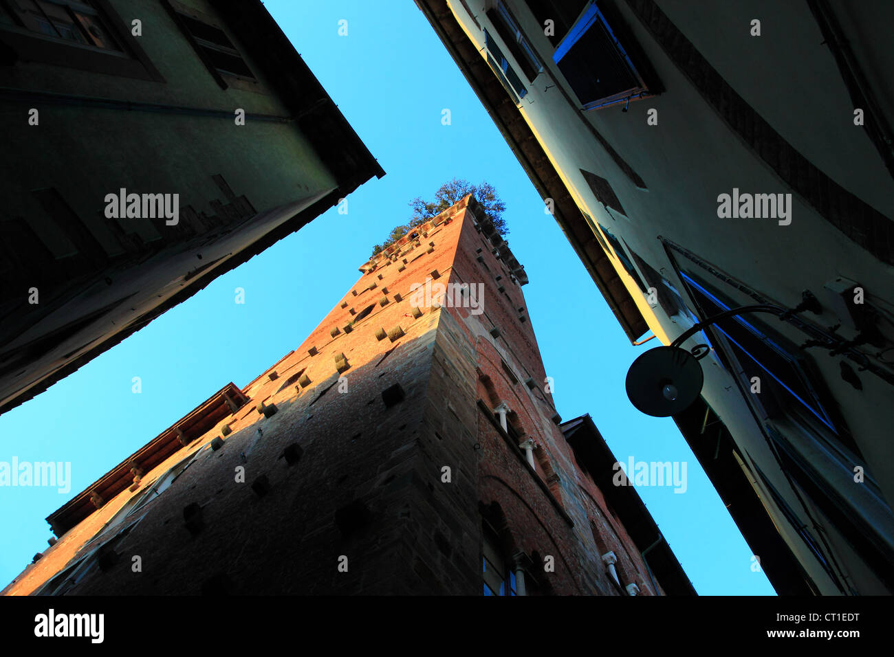 Guinigi Tower, Lucca, Italy Stock Photo - Alamy