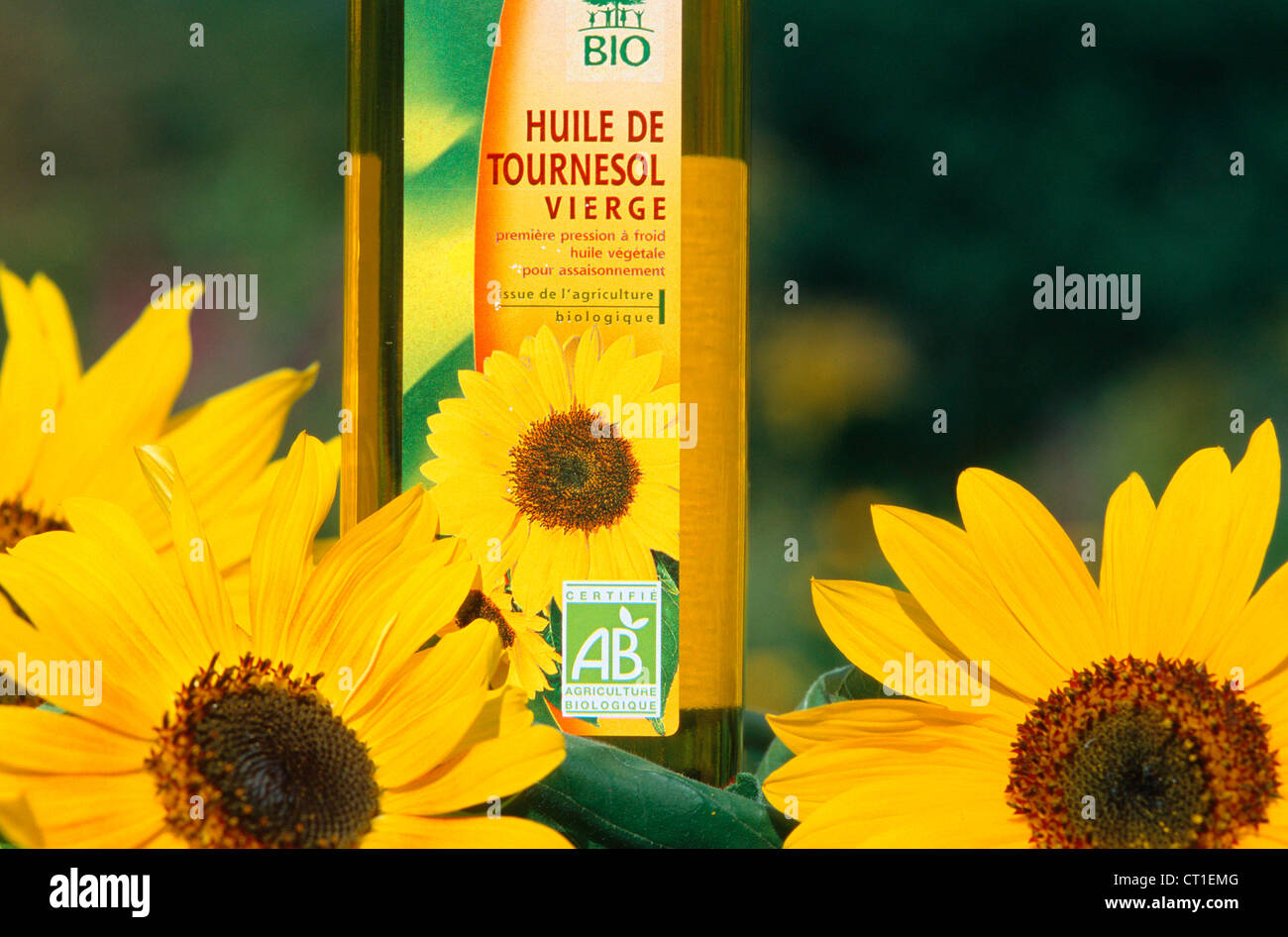 Oil producing flowers hi-res stock photography and images - Alamy