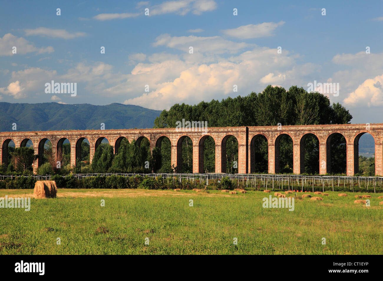 Tempietto Notolini Aquaduct bridge near Lucca, Italy Stock Photo - Alamy