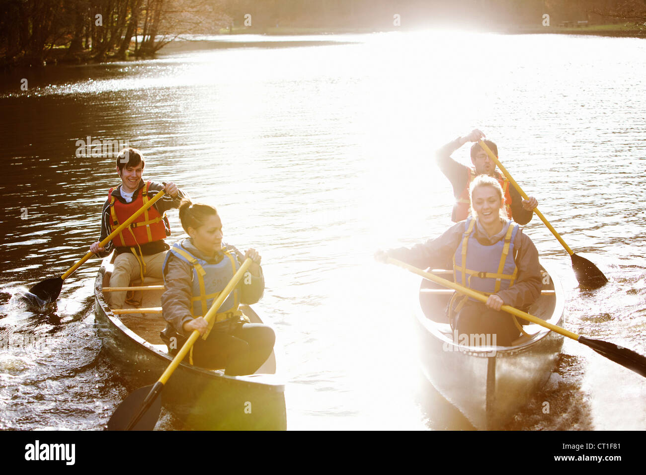 Friends rowing canoes on still lake Stock Photo - Alamy