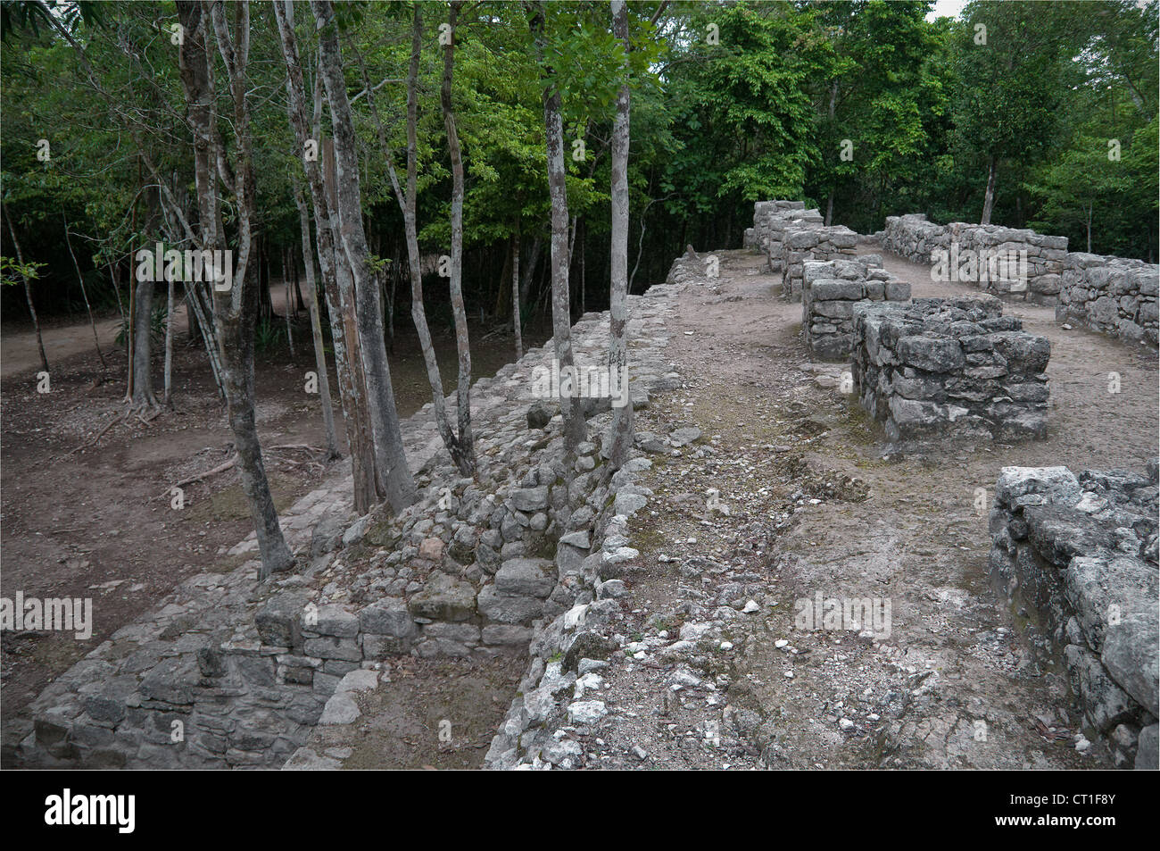 Coba's Palace pyramid is one of the landmark ruins in Yucatan Mexico's ...