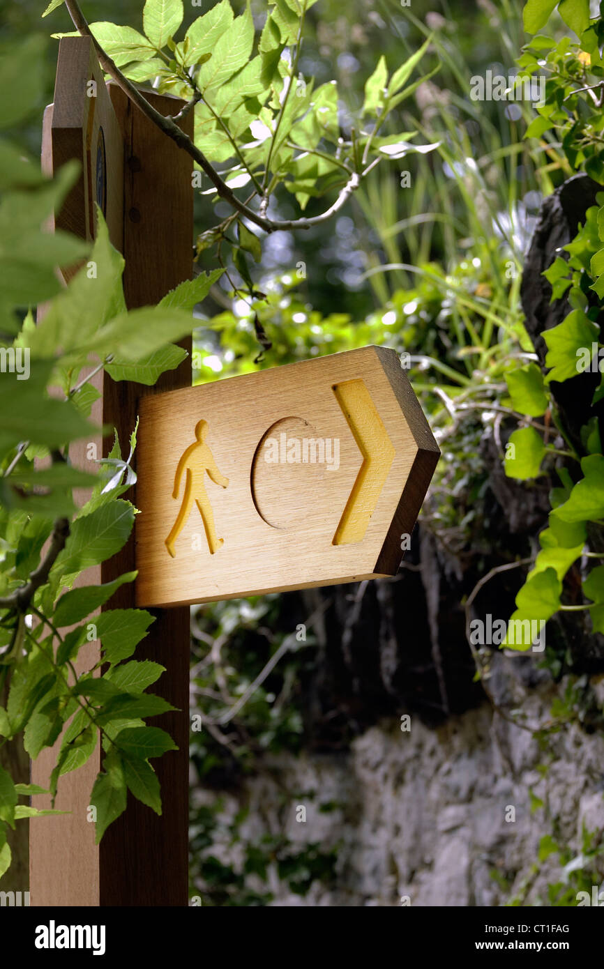 A woodland footpath signpost Stock Photo - Alamy