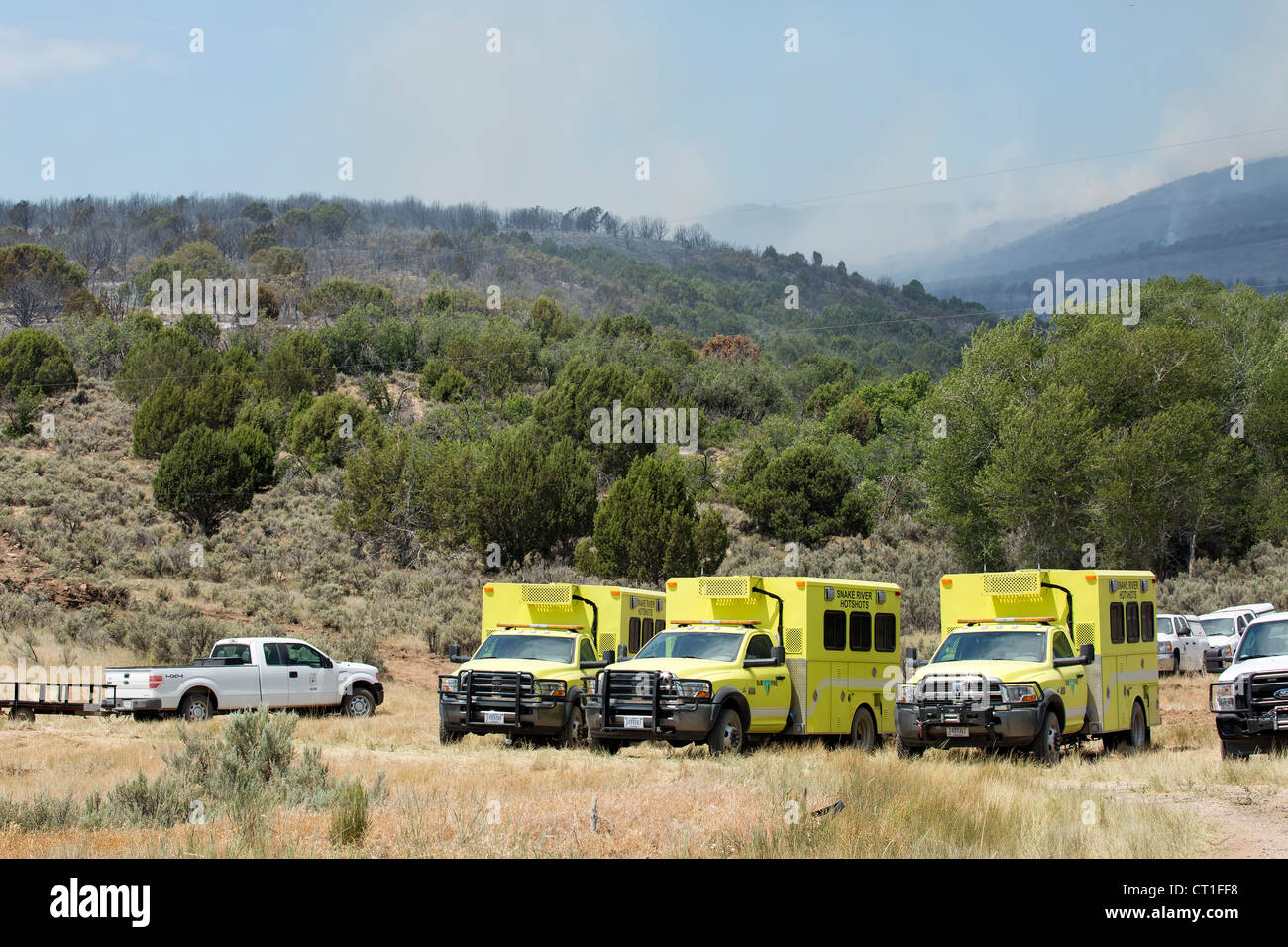 Forest wildfire rages out of control as fire fighters throughout the ...