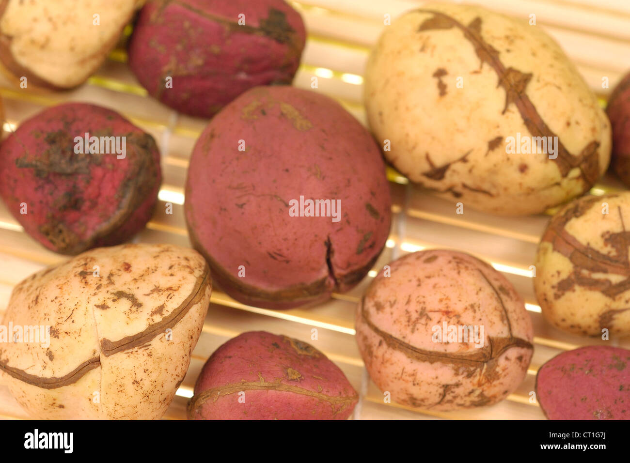 Cola nitida hi-res stock photography and images - Alamy