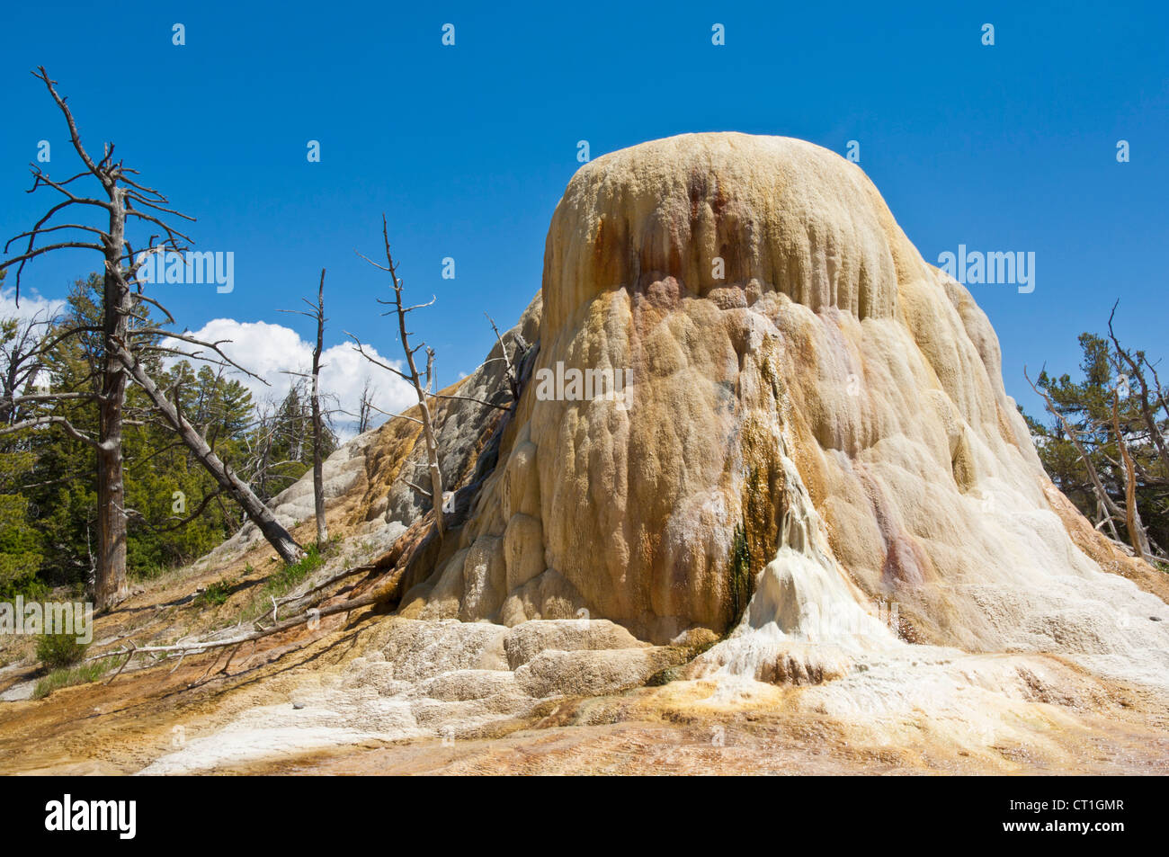 Orange spring mound Mammoth hot Springs Yellowstone National Park ...