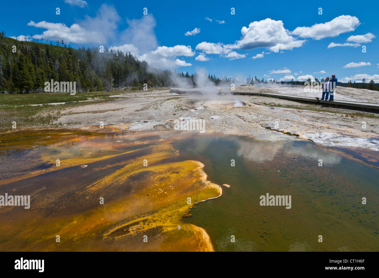 bacteria growing in a hot spring runoff area upper geyser basin ...