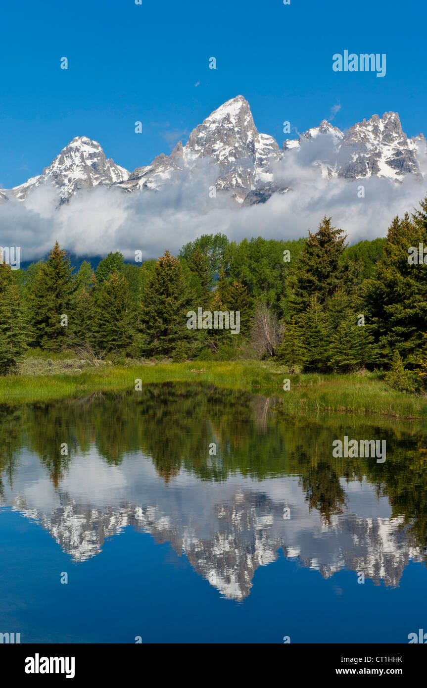 Schwabacher landing beaver pond hi-res stock photography and images - Alamy