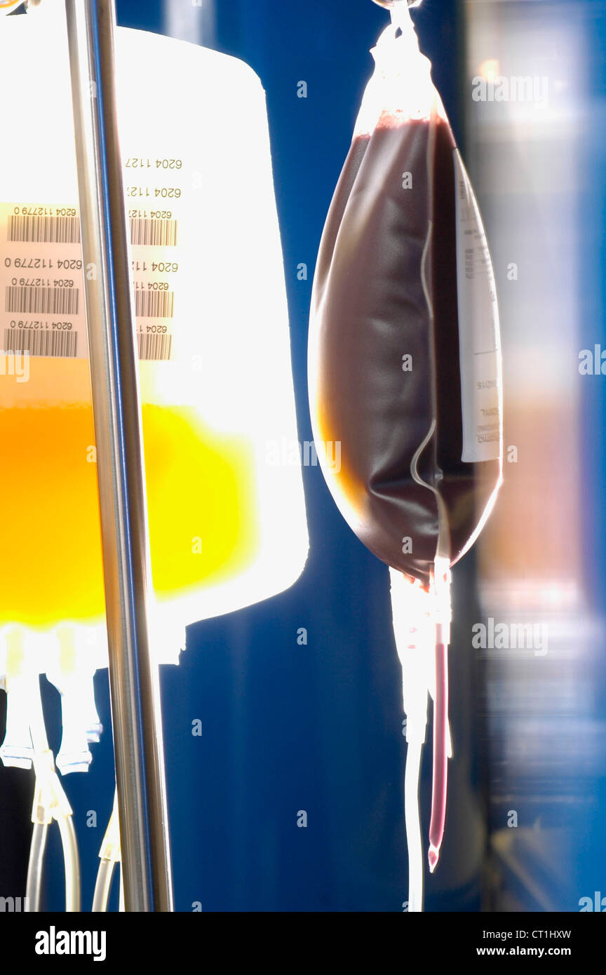 Platelet blood bag hi-res stock photography and images - Alamy