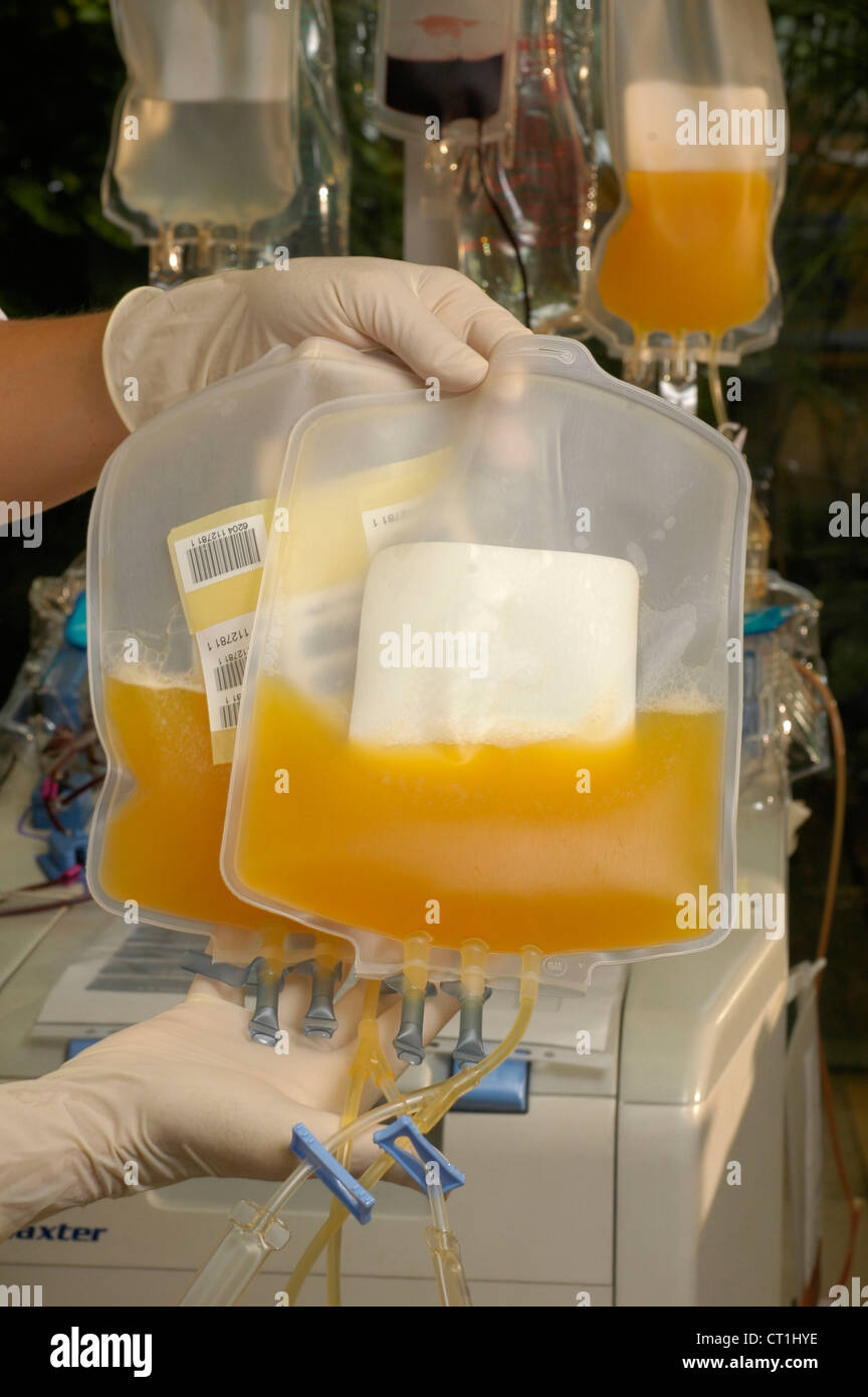 Blood platelet bags hi-res stock photography and images - Alamy