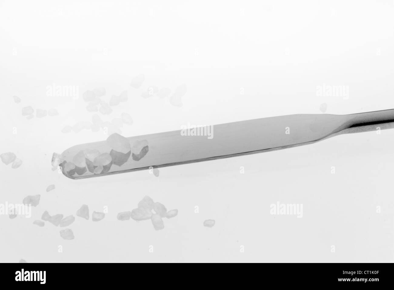 Spatula hi-res stock photography and images - Alamy