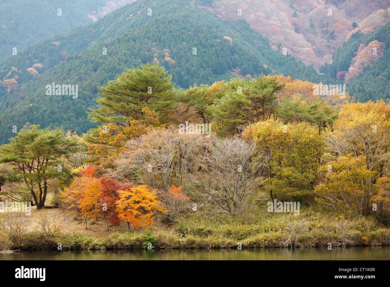 Japan scene scenic hi-res stock photography and images - Alamy