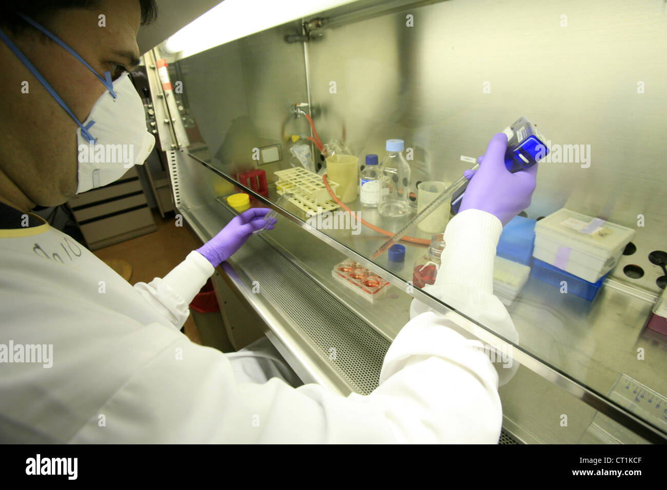 Laminar flow hoods microbiology laboratory hi-res stock photography and ...