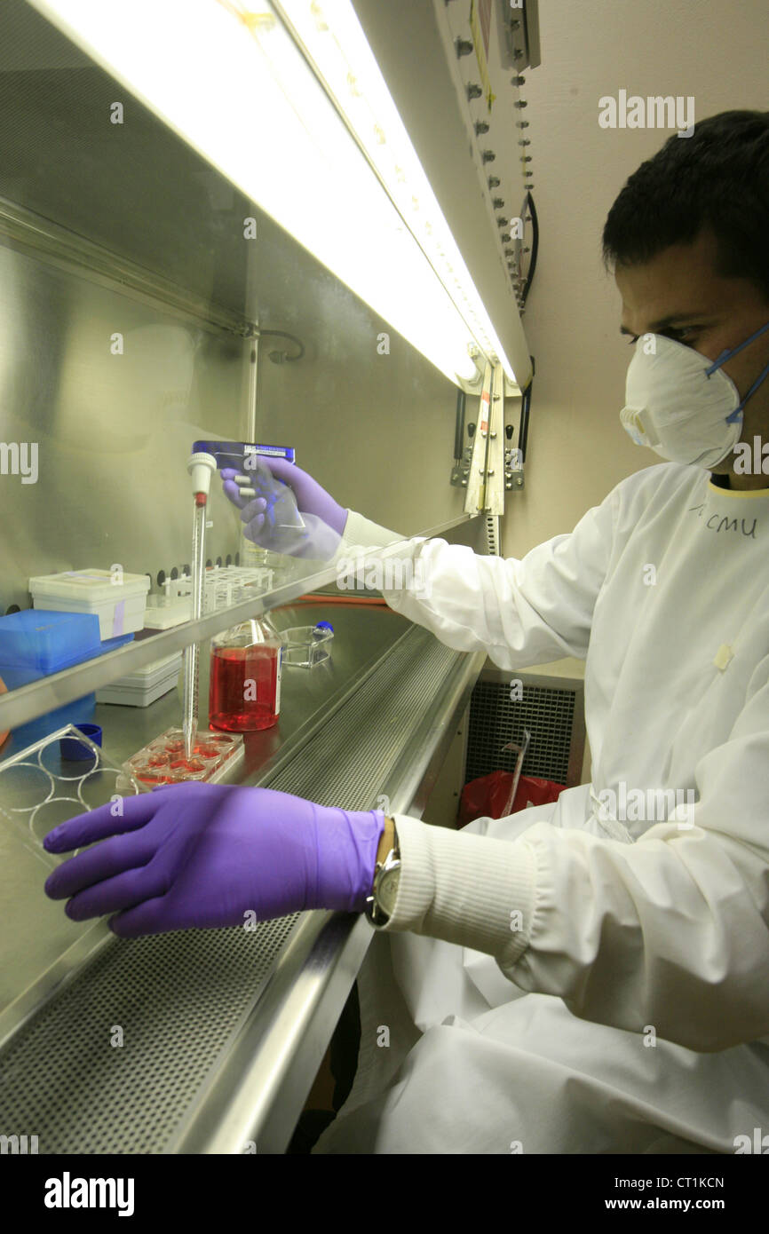 Laminar flow hoods microbiology laboratory hi-res stock photography and ...