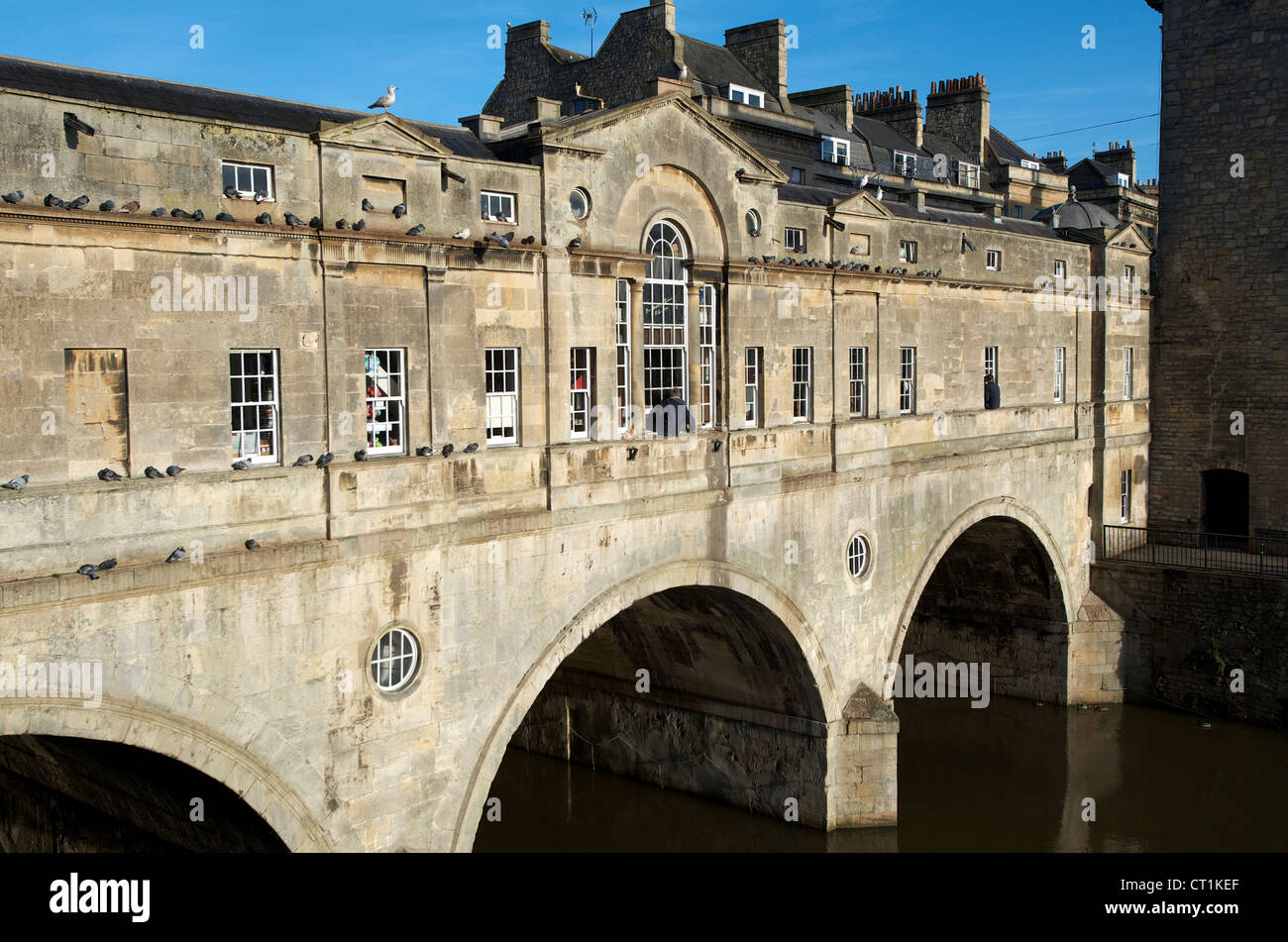 Pulteney Bridge, Bath, Somerset , England Stock Photo - Alamy