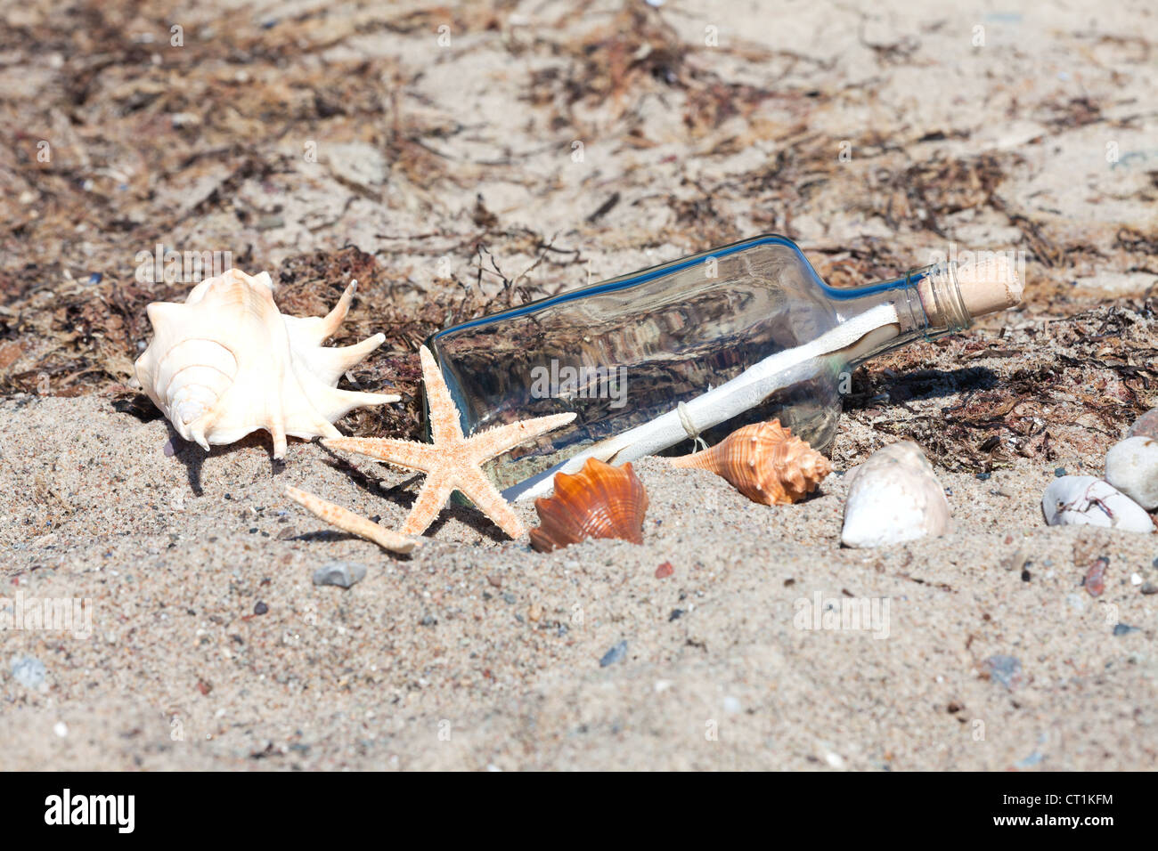 Message in a bottle on the beach with seashells and starfish Stock ...