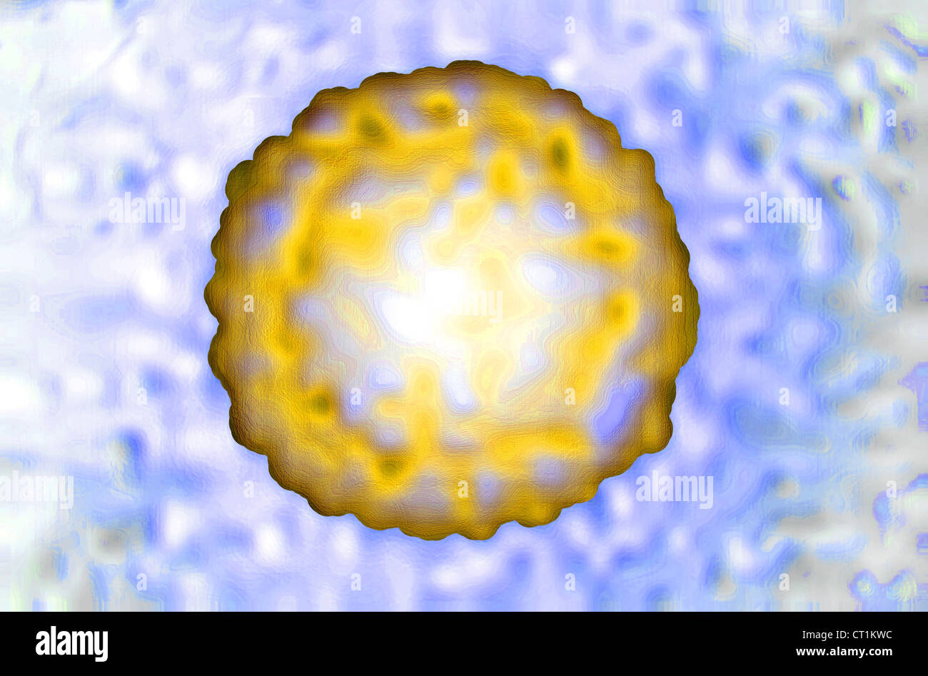 Hepacivirus hi-res stock photography and images - Alamy
