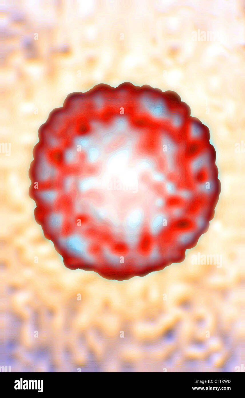 HEPATITIS C VIRUS Stock Photo - Alamy