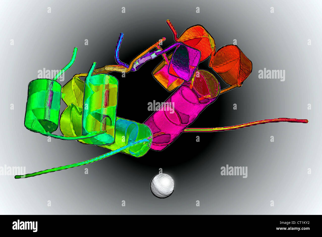 Insulin molecule hi-res stock photography and images - Alamy