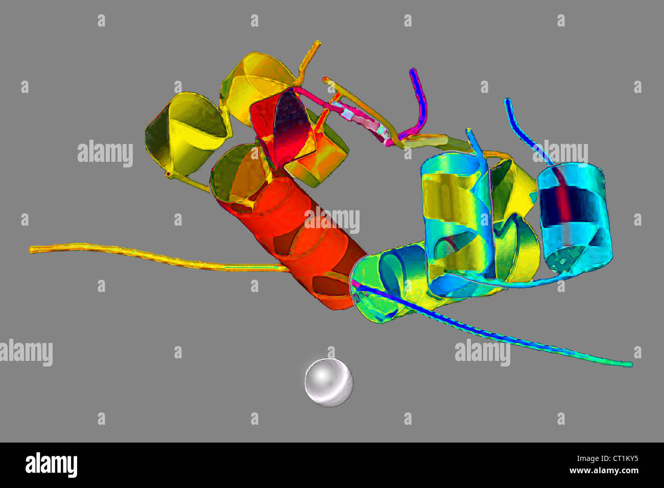 Insulin molecule hi-res stock photography and images - Alamy