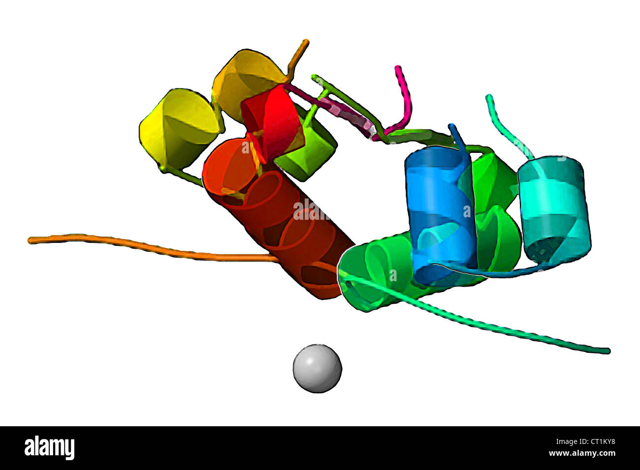 Insulin molecule hi-res stock photography and images - Alamy