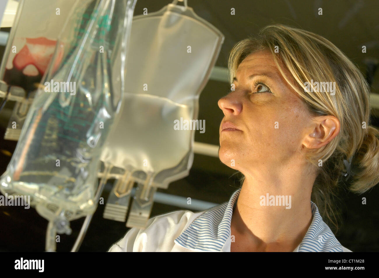 Blood platelet bags hi-res stock photography and images - Alamy