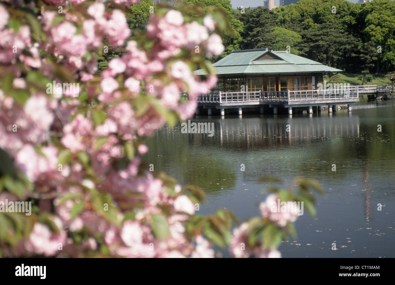 Japan, Tokyo, Chuo, the Hamarikyu Detached Palace Garden Pavilion, with ...