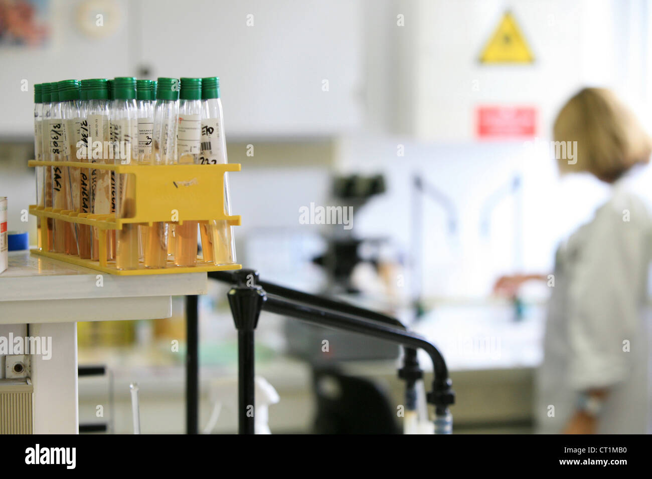 Bacterial culture tubes hi-res stock photography and images - Alamy