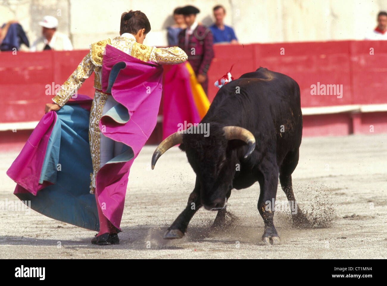 Fighting combat courage courageous hi-res stock photography and images ...