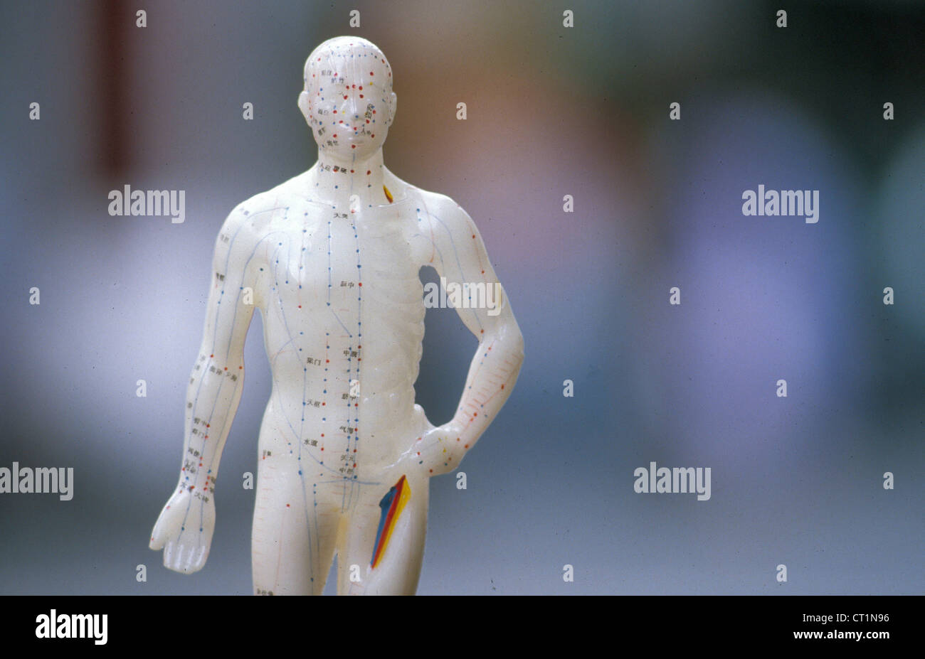 Acupuncture drawing hi-res stock photography and images - Alamy
