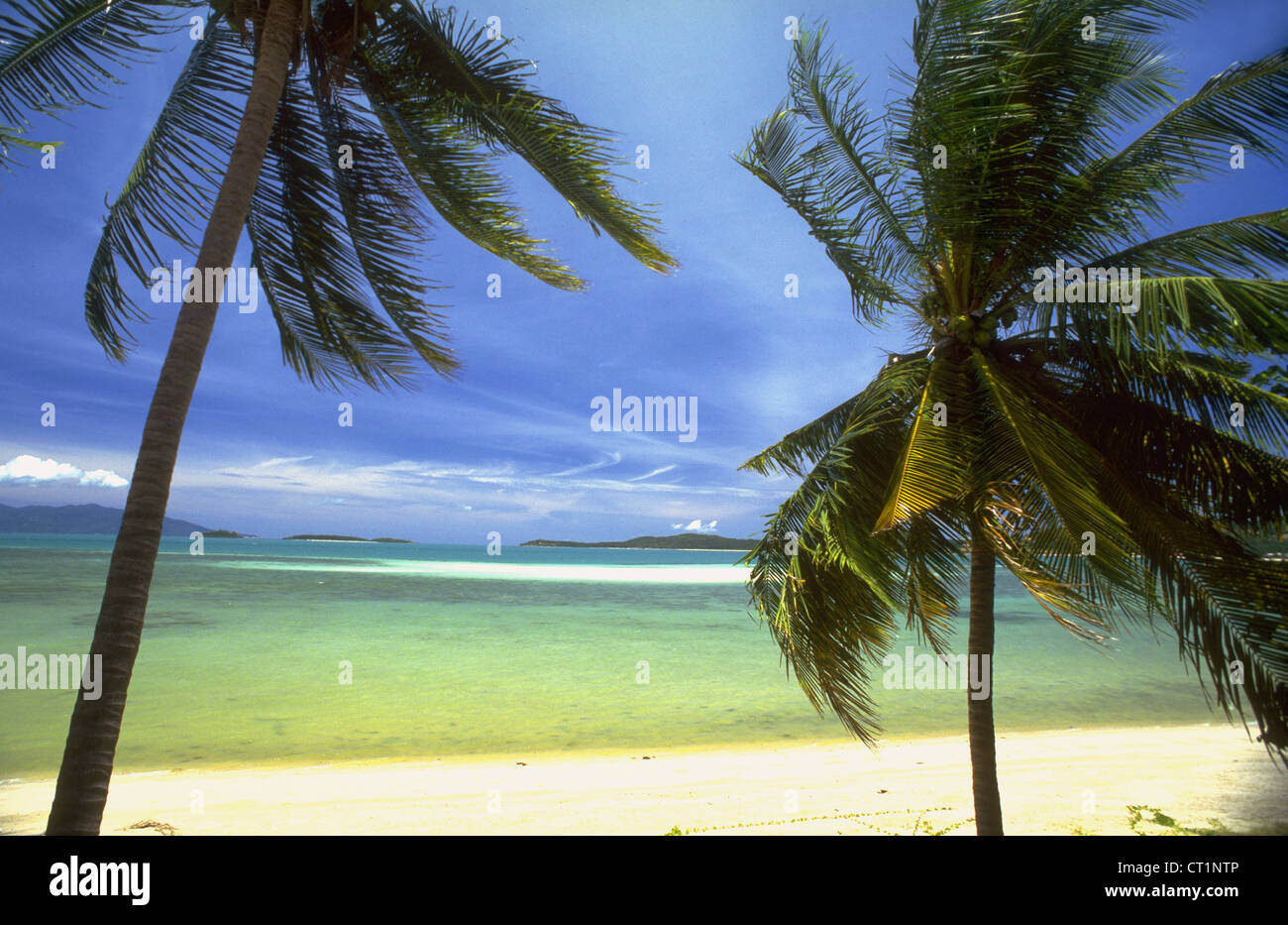 Exoticness hi-res stock photography and images - Alamy