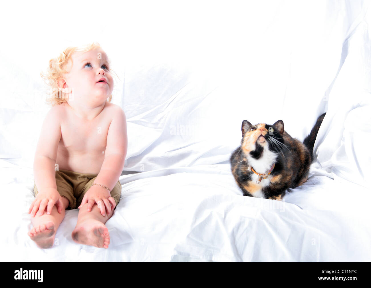 young child and cat sitting together looking upwards on white ...