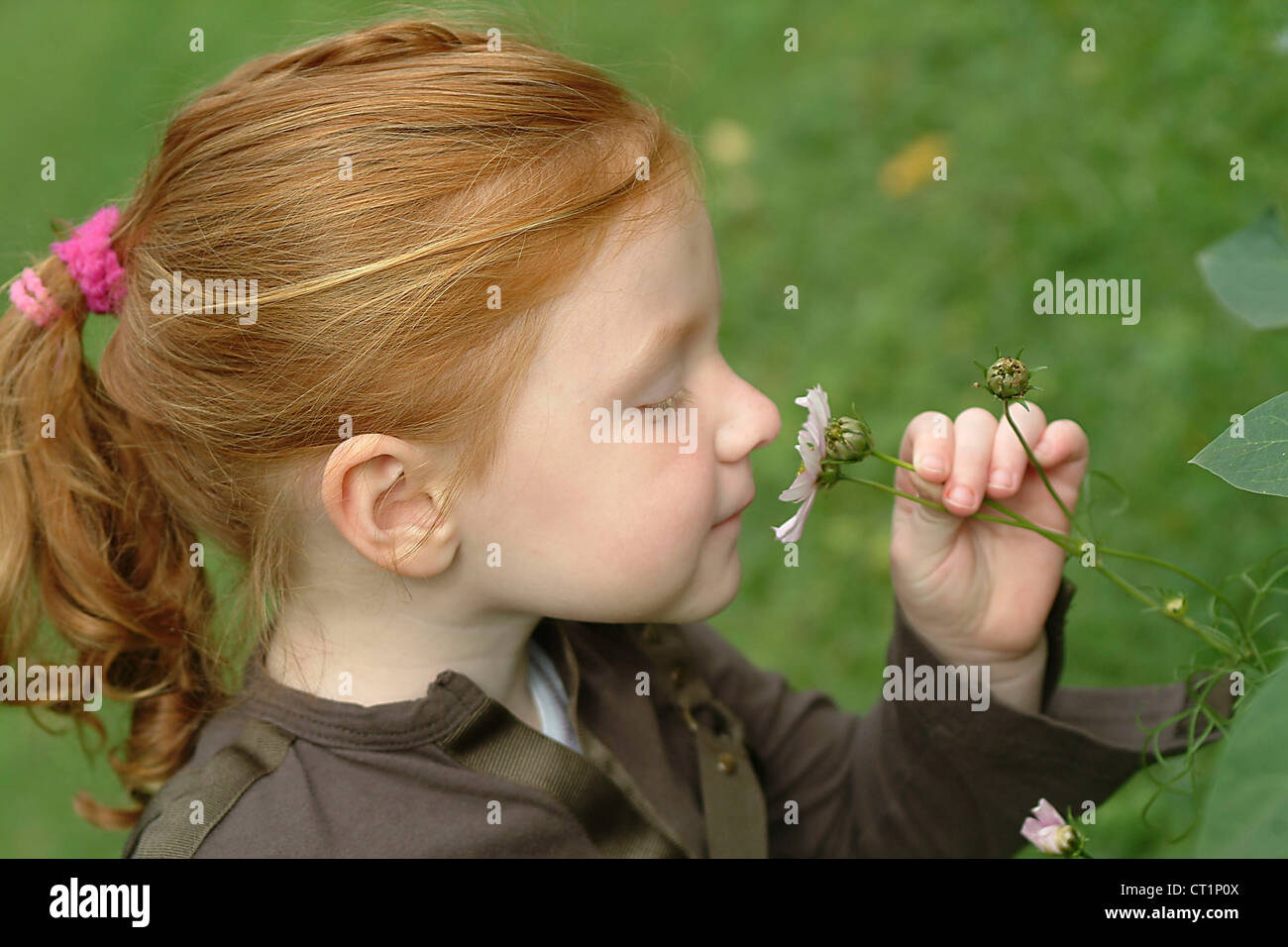 SENSE OF SMELL Stock Photo - Alamy