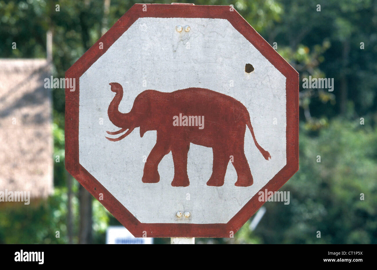 Signalling signposting hi-res stock photography and images - Alamy