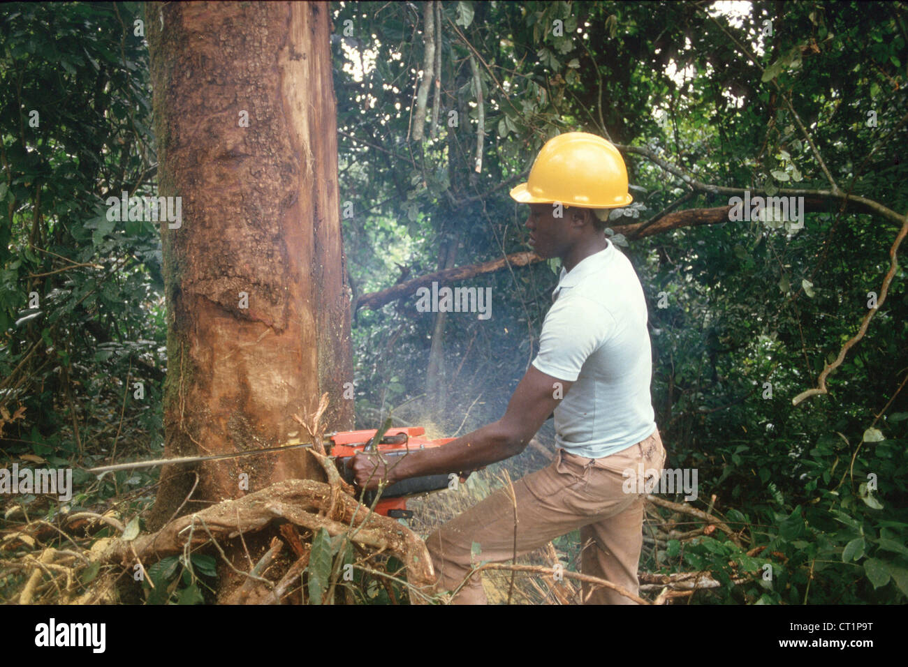 Chainsaw woman chain saw hi-res stock photography and images - Alamy