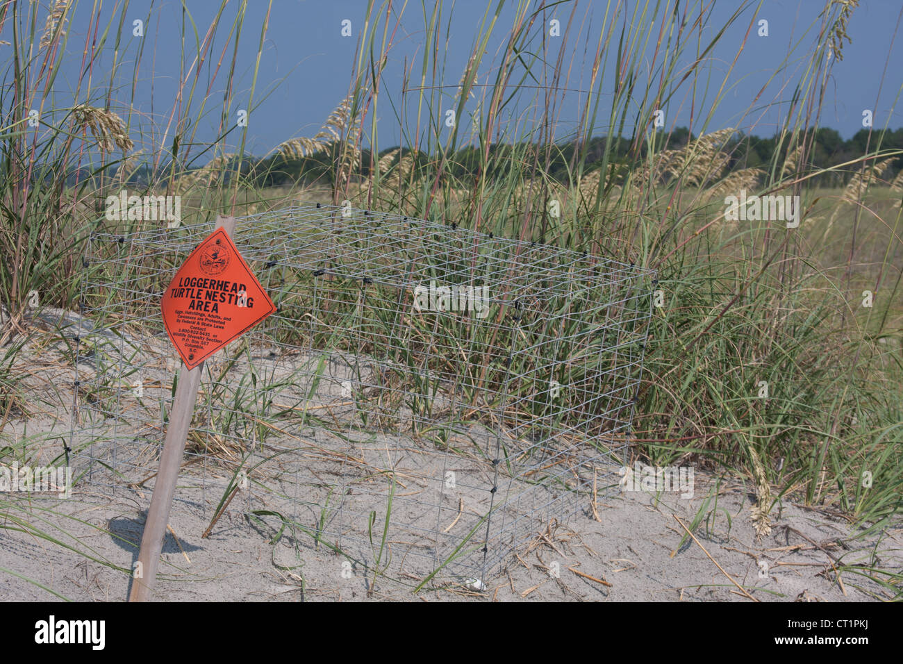 Turtle nesting area sign hi-res stock photography and images - Alamy