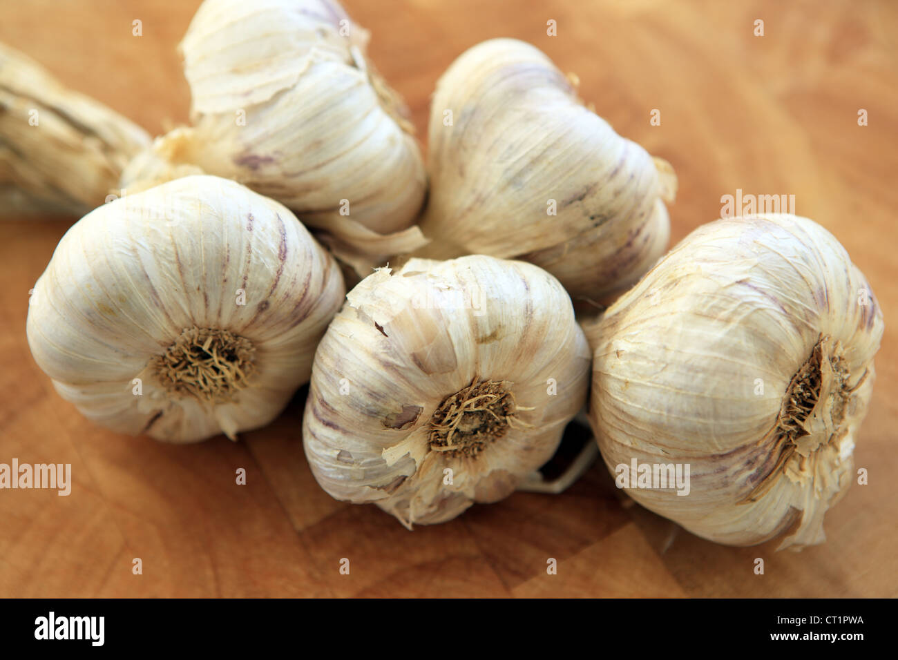String of garlic bulbs hi-res stock photography and images - Alamy