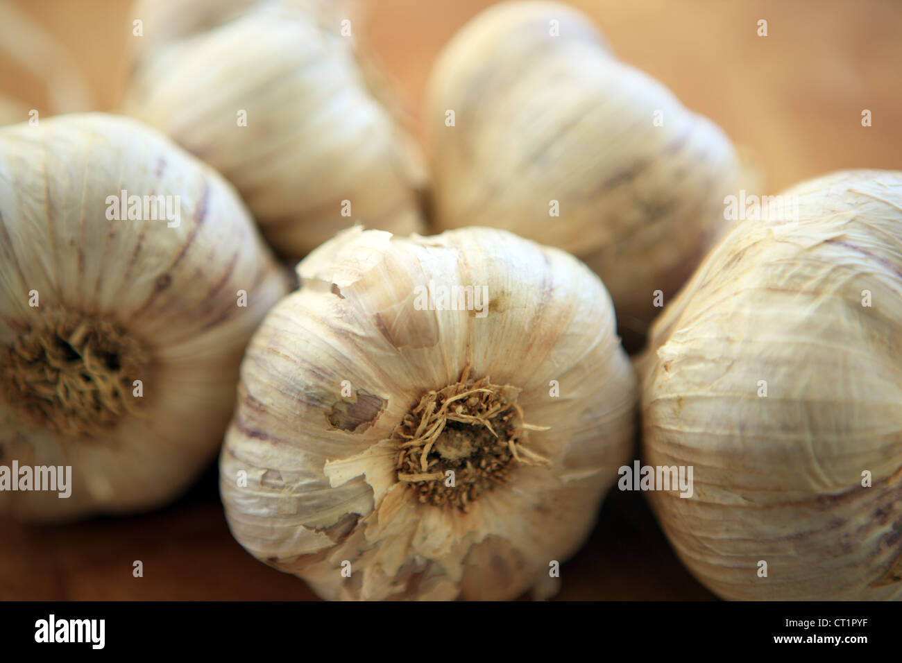 String of garlic bulbs hi-res stock photography and images - Alamy