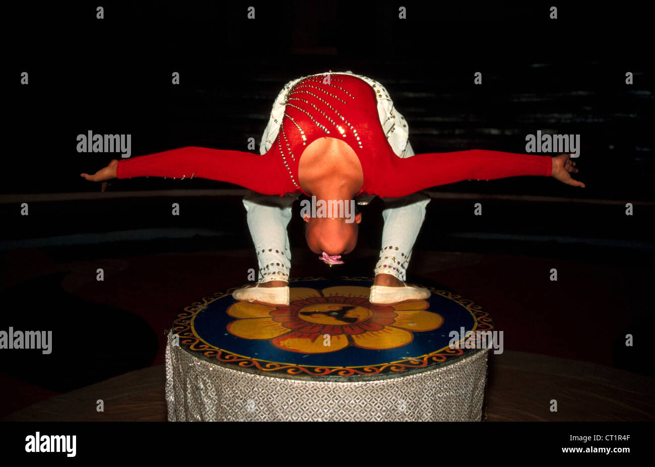 Contortion The Underground Circus