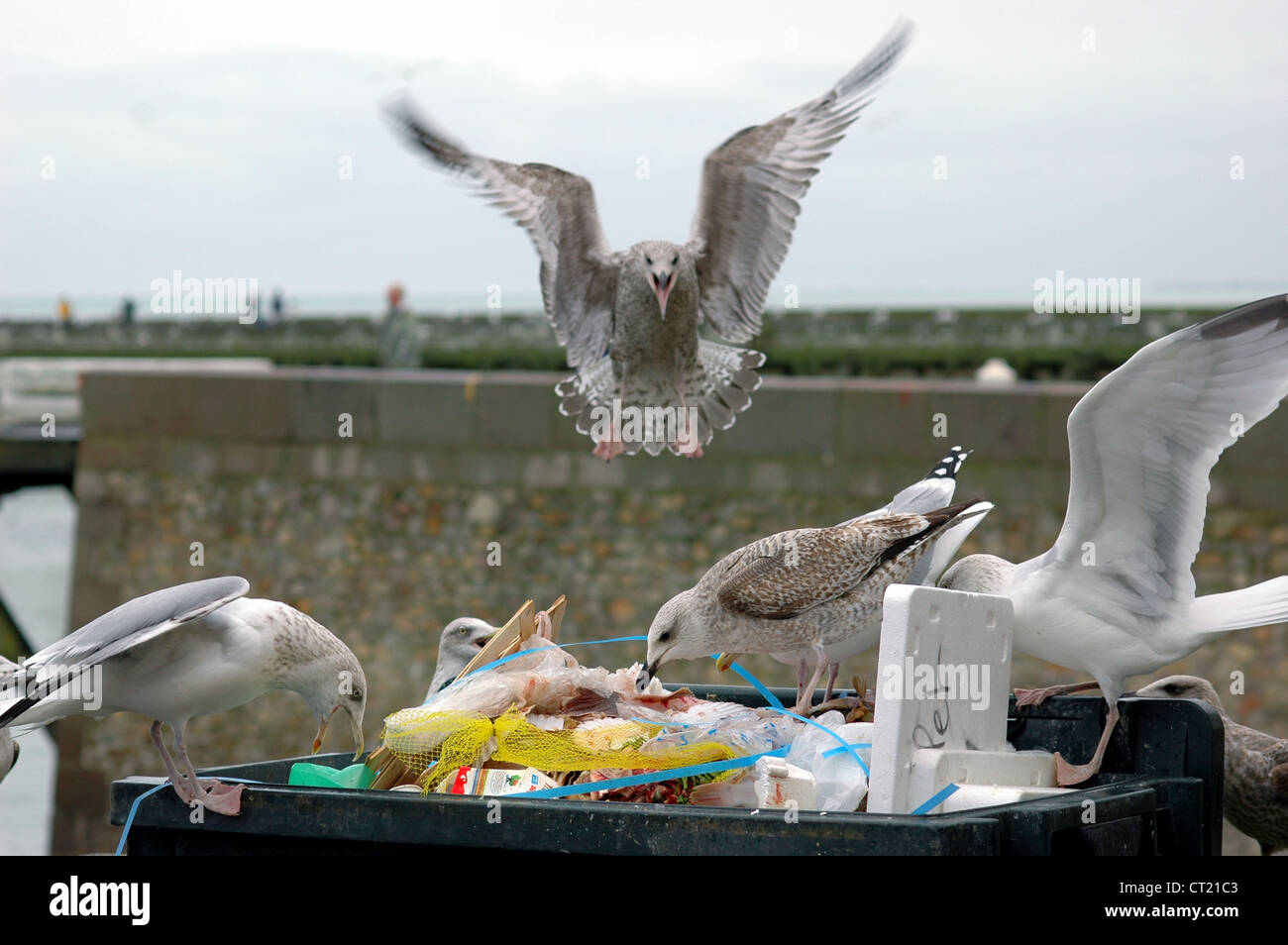 Flying dustbin hi-res stock photography and images - Alamy