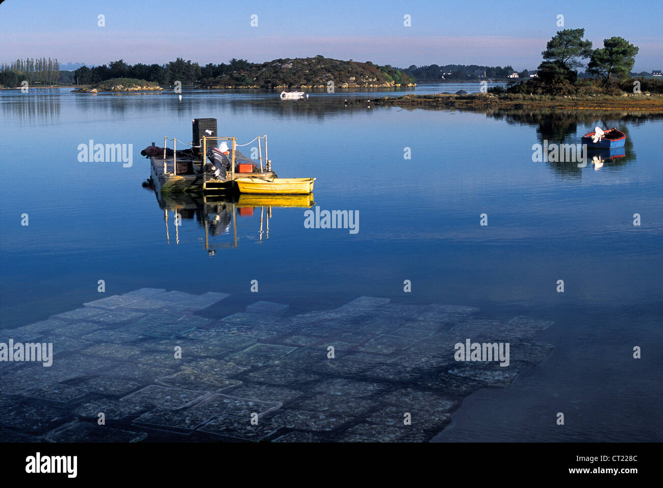 Oyster beds and boats france hi-res stock photography and images - Alamy