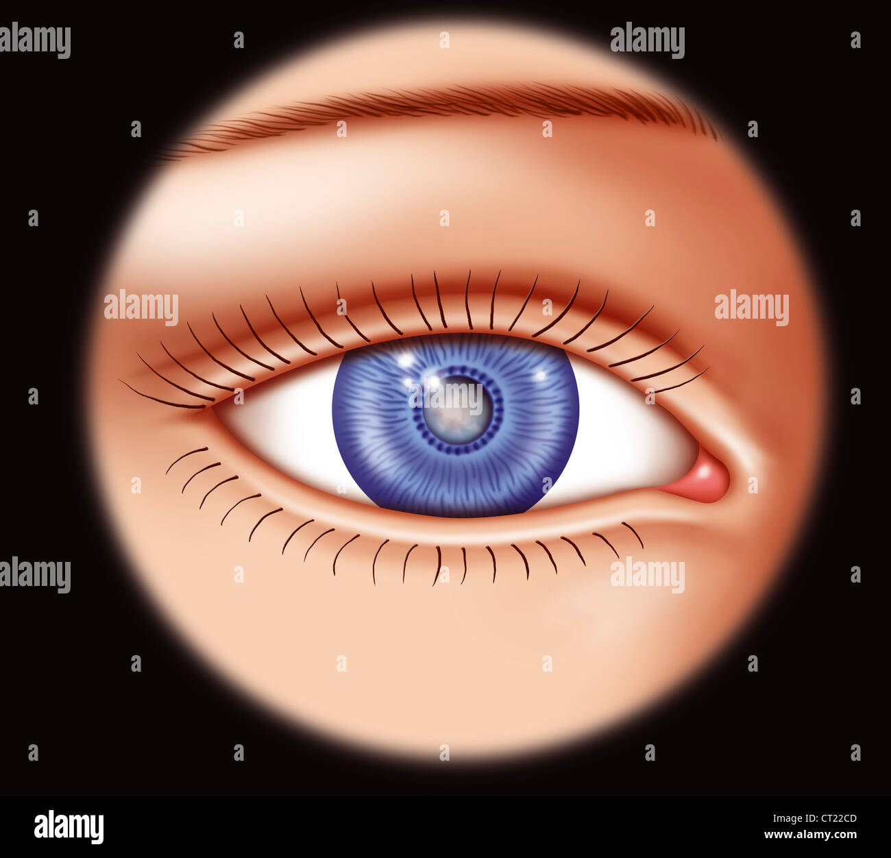Cataract drawing hi-res stock photography and images - Alamy
