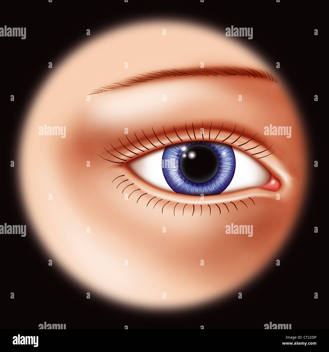 Mydriasis hi-res stock photography and images - Alamy