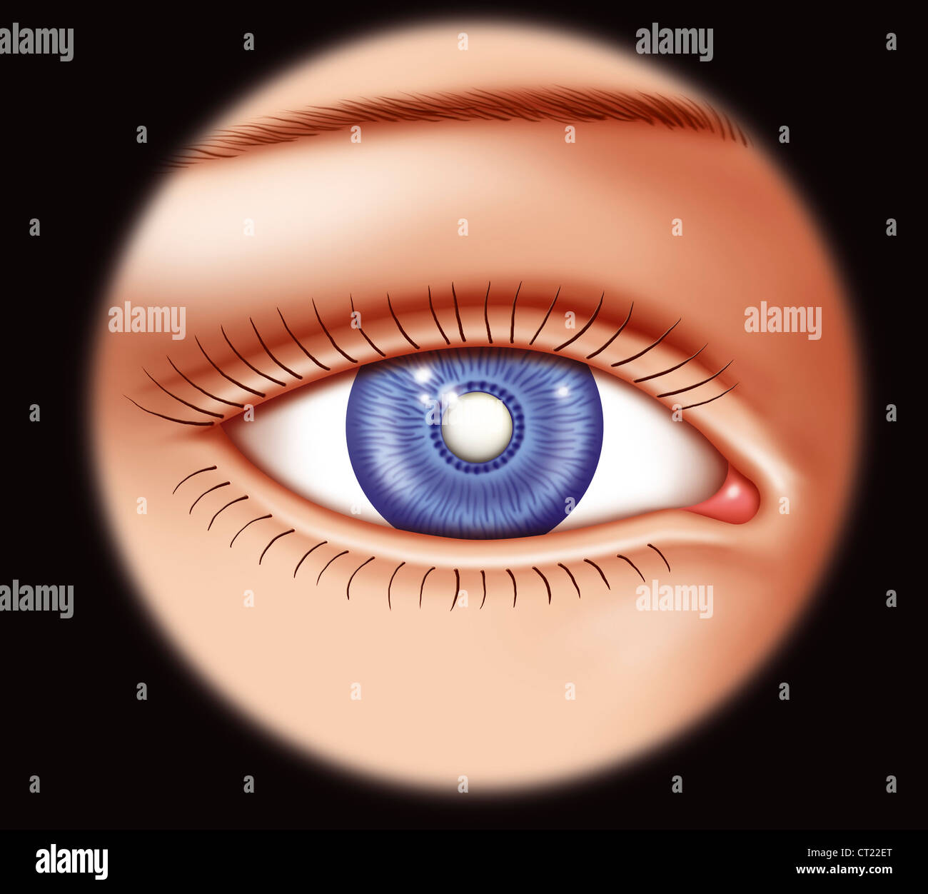 Cataract drawing hi-res stock photography and images - Alamy